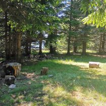 Da li ste znali? Fascinantna činjenica o Goliji koju retko ko zna ...